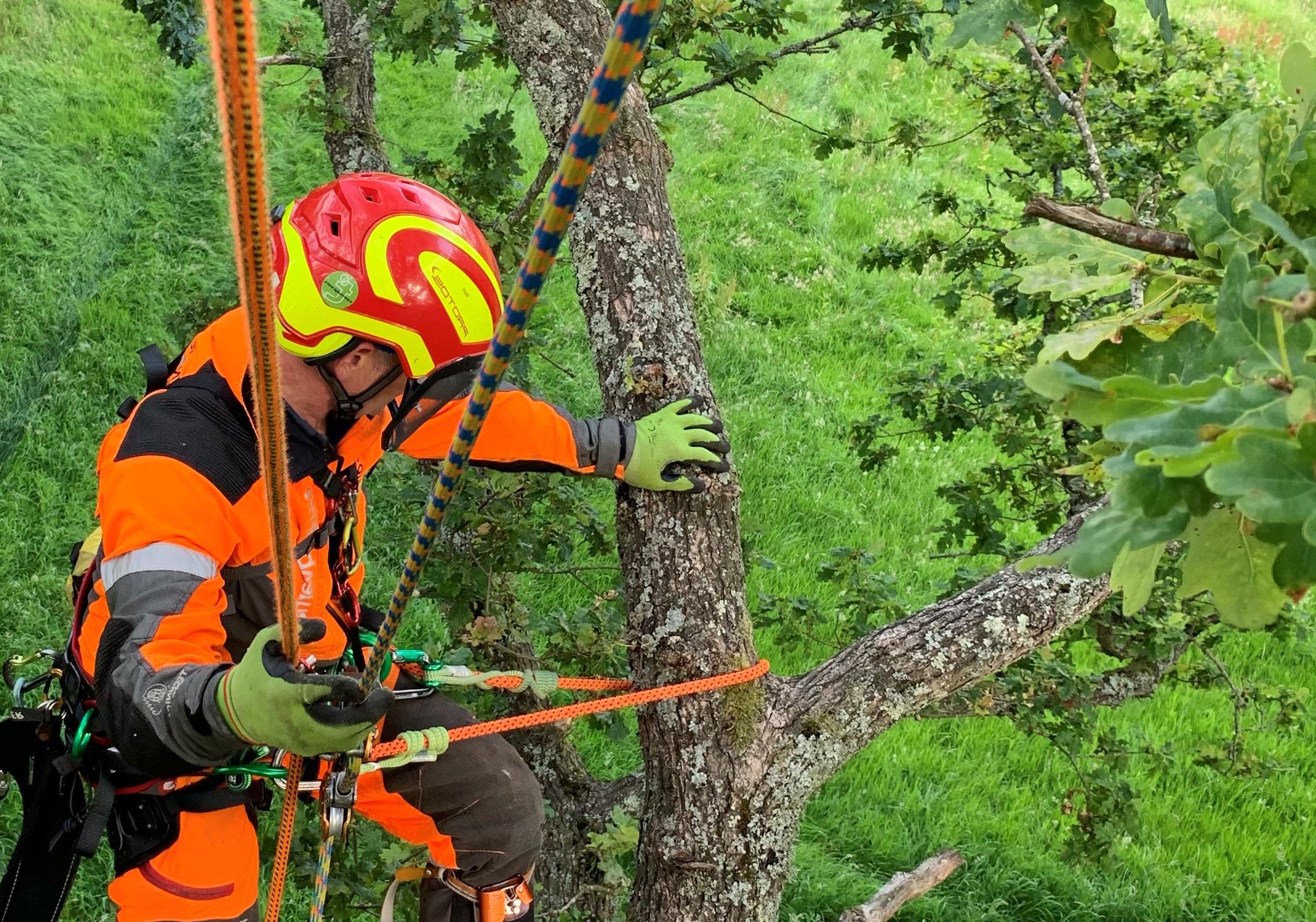 Arbor Venture Training