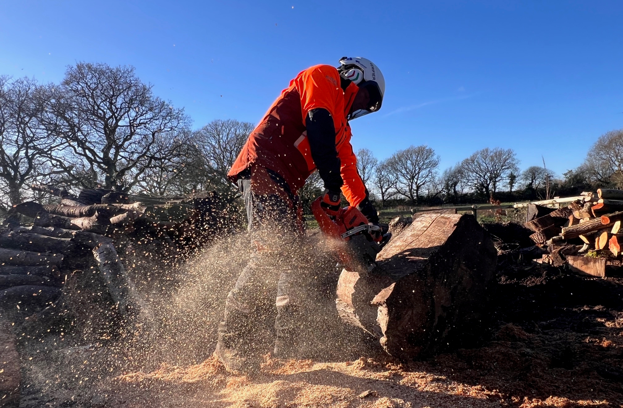 Arbor Venture Training