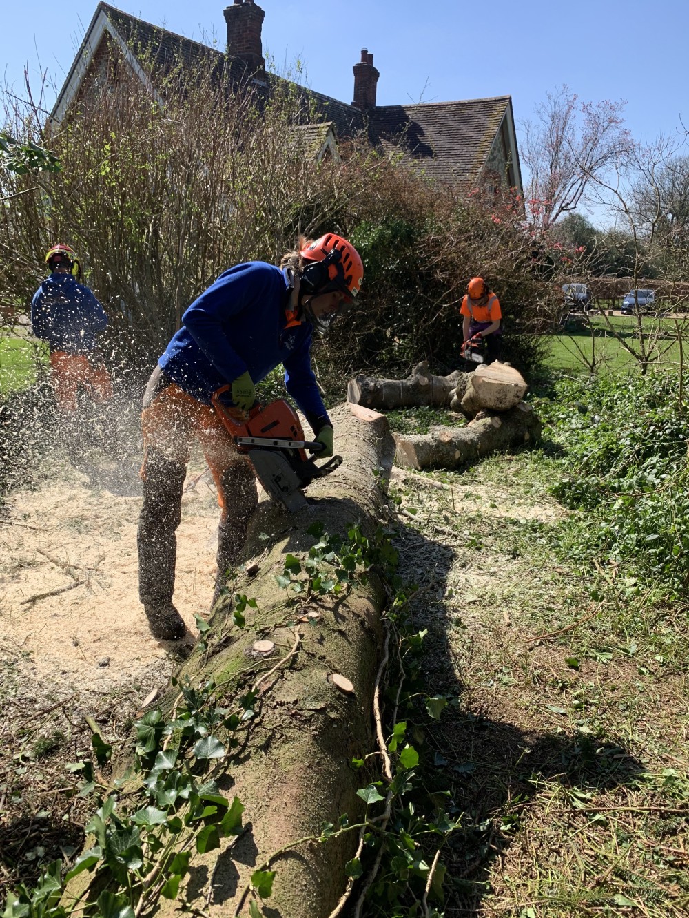 Arbor Venture Training