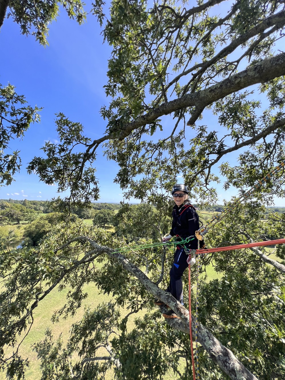 Arbor Venture Training
