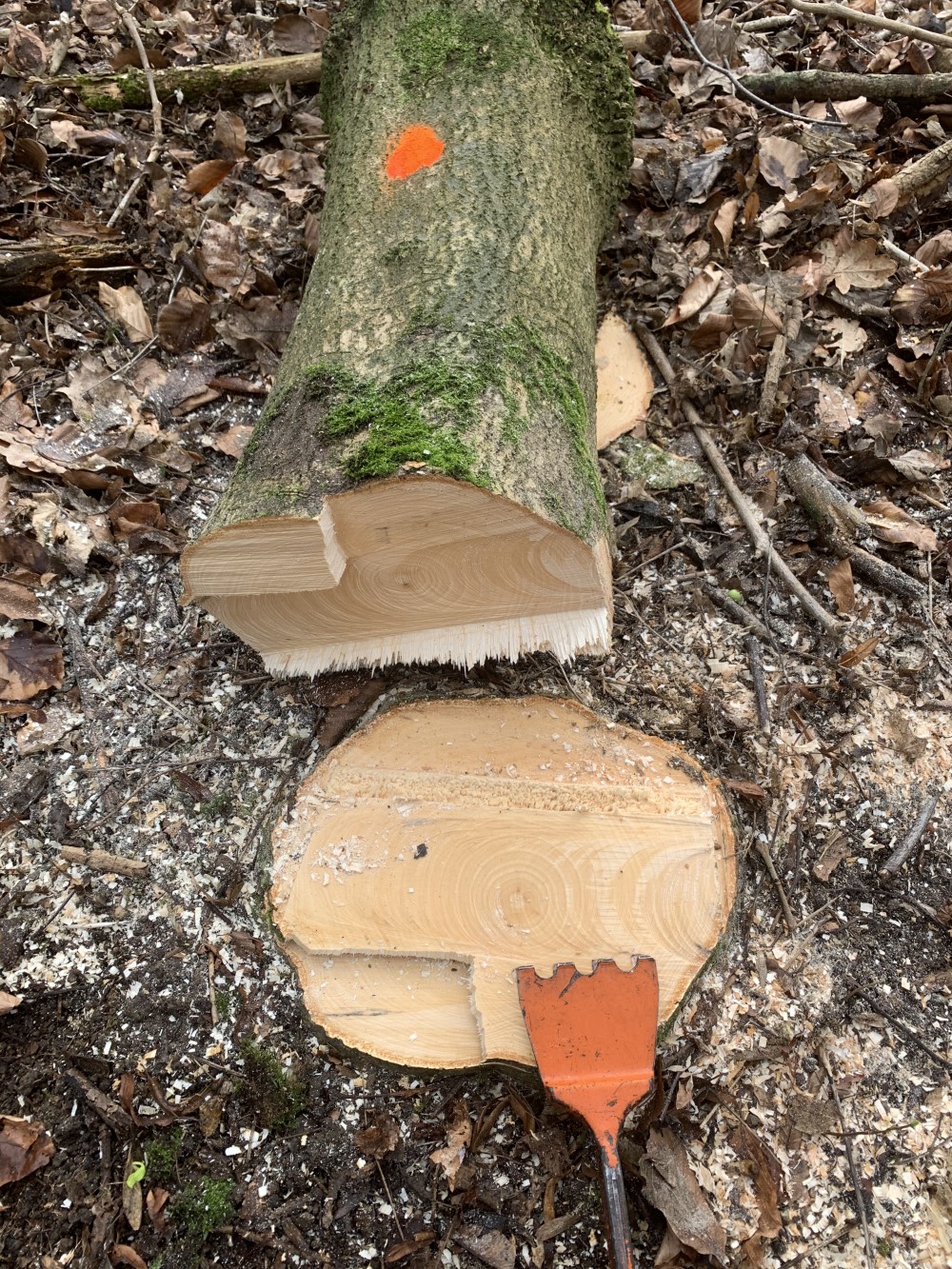 Arbor Venture Training