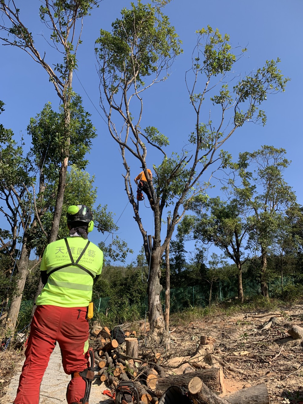 Arbor Venture Training