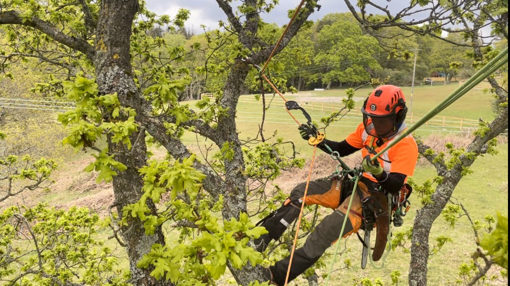Arbor Venture Training